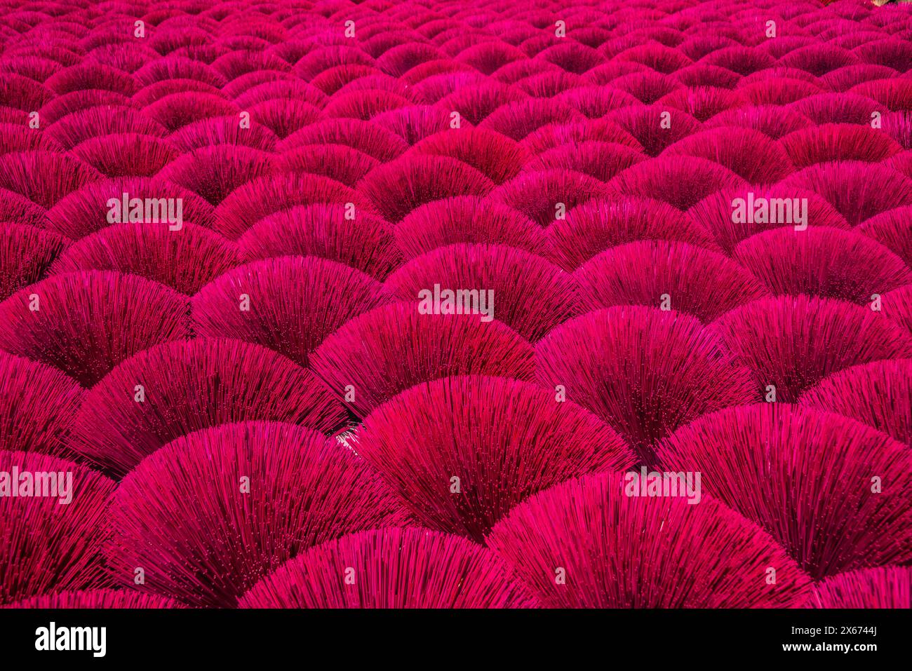 Incense drying in the Quang Phu Cau incense village, Hanoi, Vietnam ...