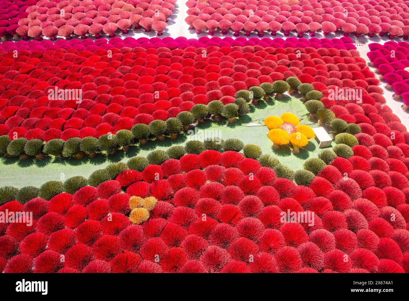 Incense drying in the Quang Phu Cau incense village, Hanoi, Vietnam ...