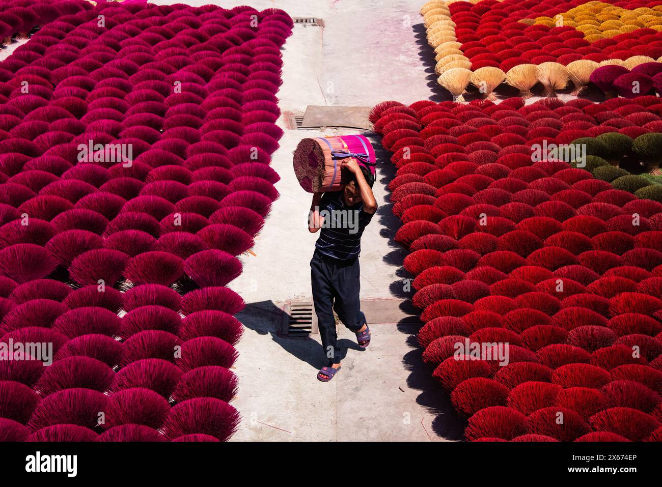 Worker drying incense in the Quang Phu Cau incense village, Hanoi ...