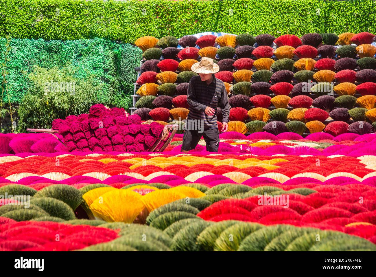 Worker drying incense in the Quang Phu Cau incense village, Hanoi ...