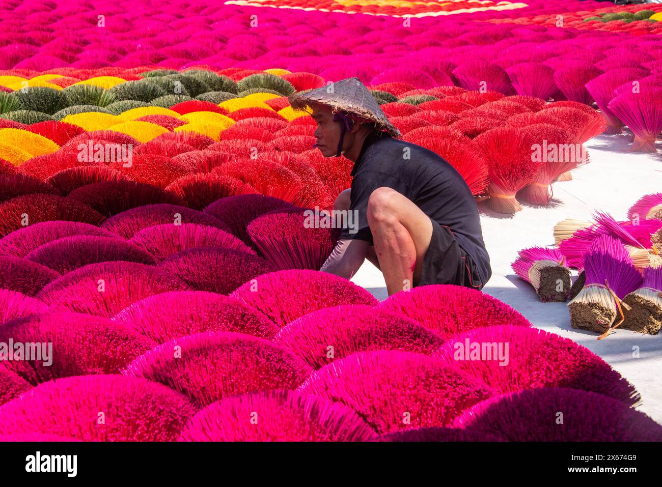 Worker drying incense in the Quang Phu Cau incense village, Hanoi ...