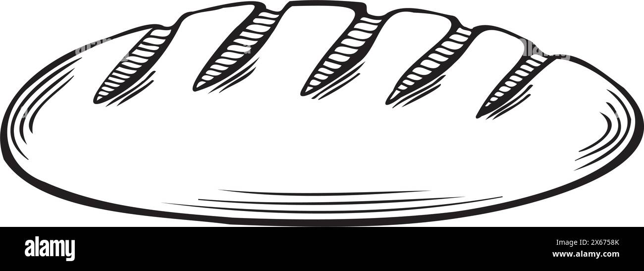 Loaf, French bread. Vector illustration isolated, linear style. Bakery ...