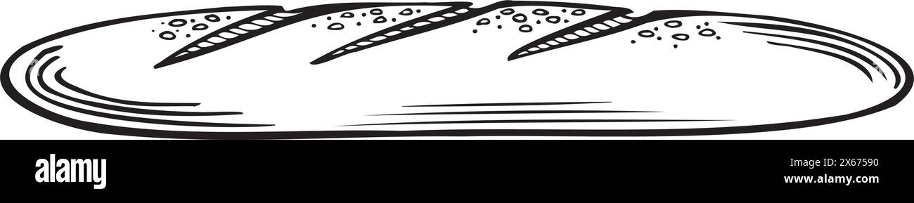 Baguette, French bread. Vector illustration isolated, linear style ...