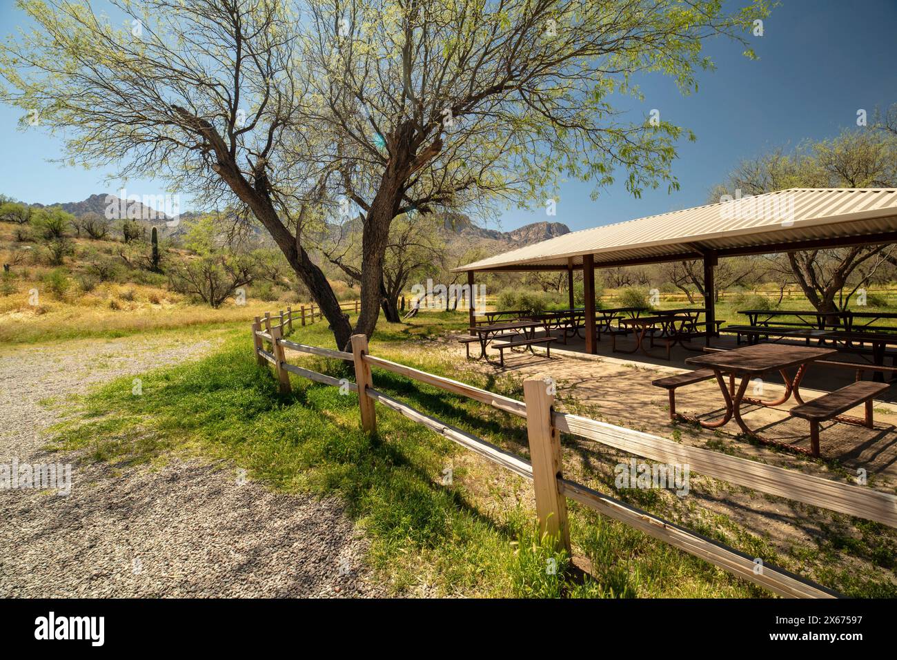 The wide open space of the glorious Catalina State Park, Oro Valley ...
