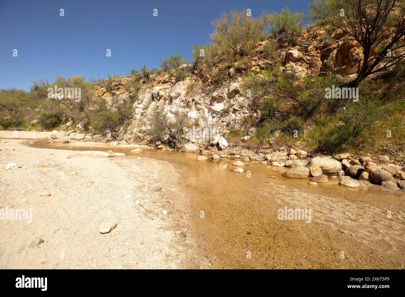 The wide open space of the glorious Catalina State Park, Oro Valley ...