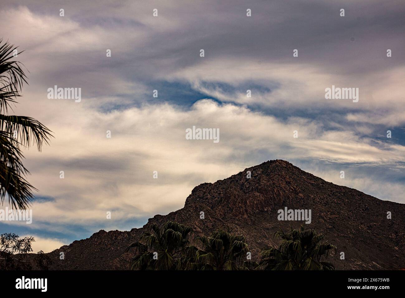To see on a warm spring day in Arizona, USA. age defying, background ...