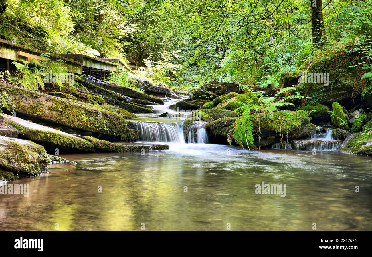 St Nectan's Glen Waterfall in Cornwall Stock Photo - Alamy