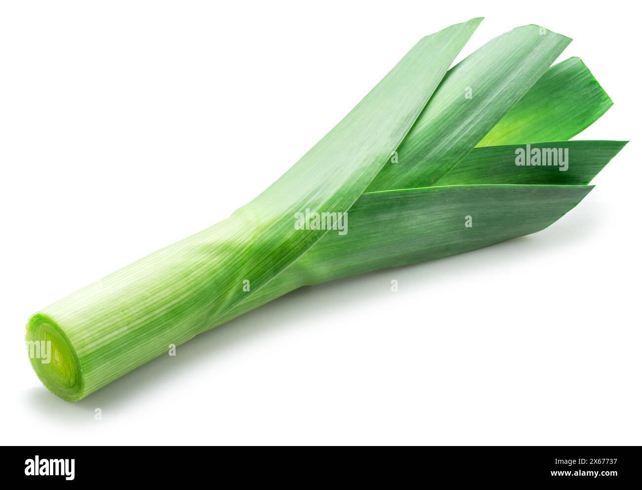 Fresh green leek stem isolated on white background Stock Photo - Alamy