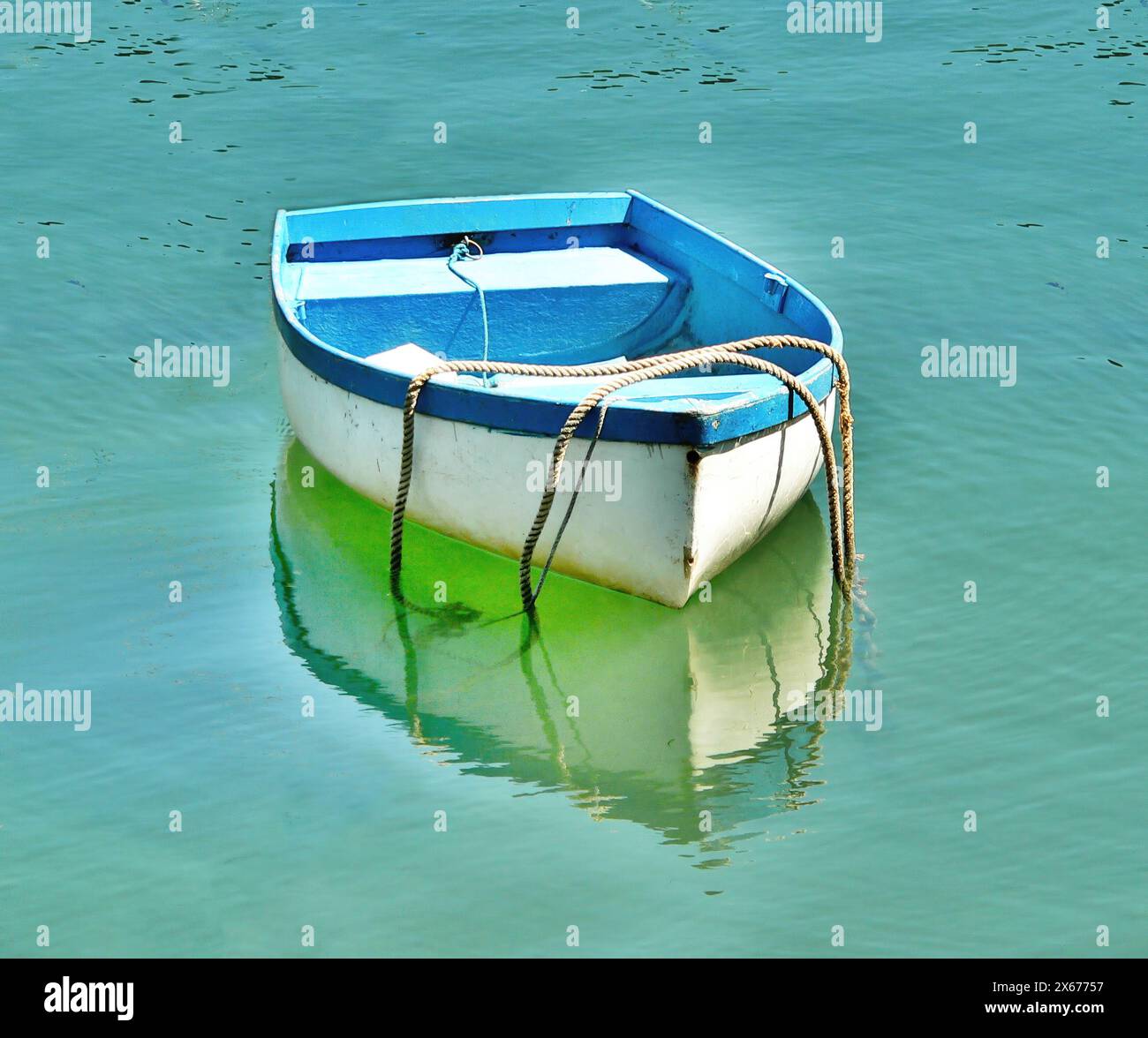 Row boat tied to shore water hi-res stock photography and images - Alamy