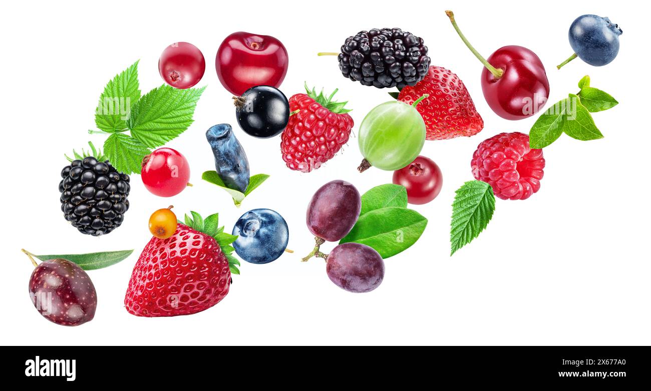 Plenty of berries with leaves floating in air on white background. File ...