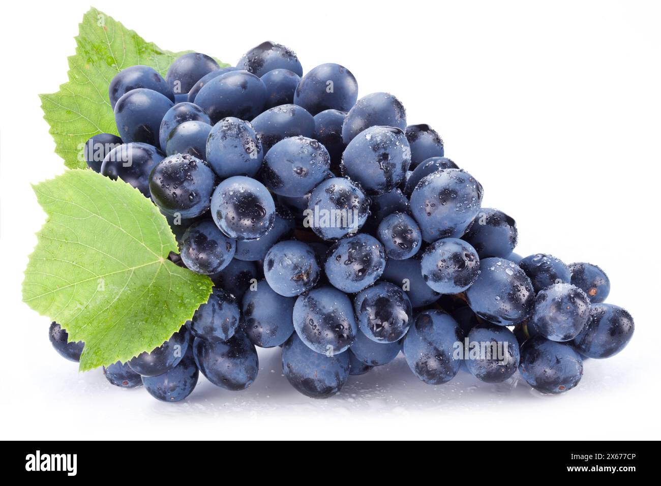 Dark purple vine leaves Cut Out Stock Images & Pictures - Alamy