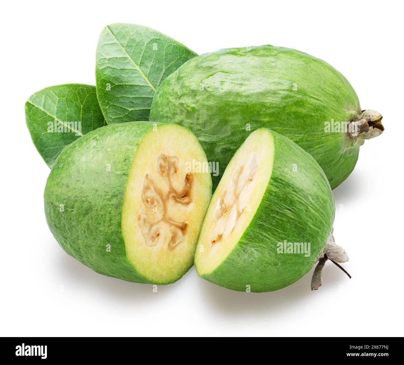 Feijoa fruits with leaves and feijoa cross sections isolated on white ... Feijoa fruits with leaves and feijoa cross sections isolated on white ...