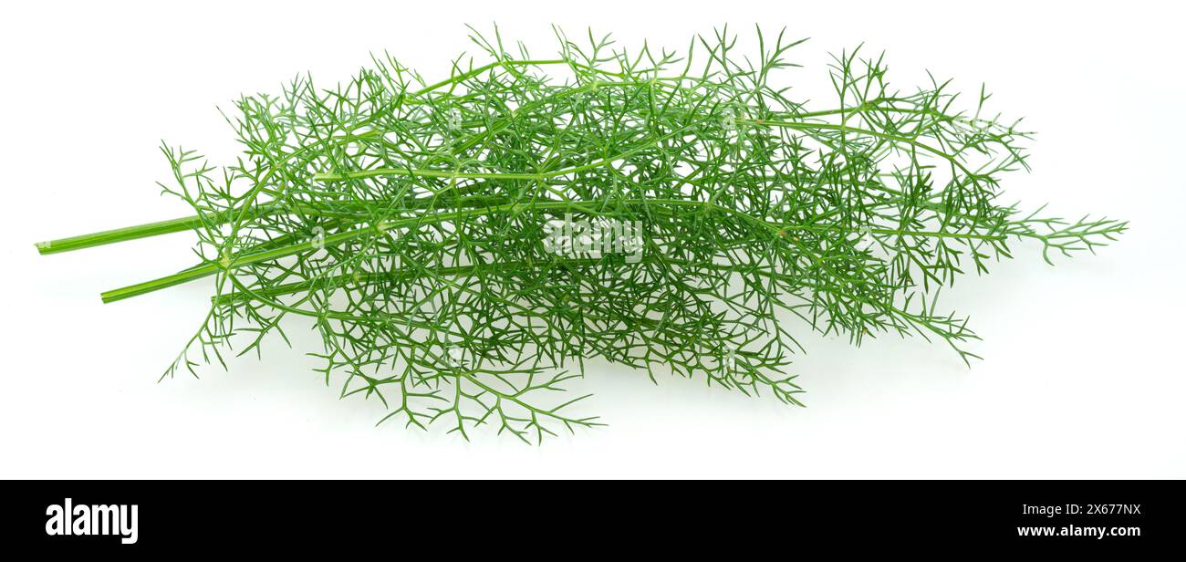 Green dill leaves isolated on white background Stock Photo - Alamy