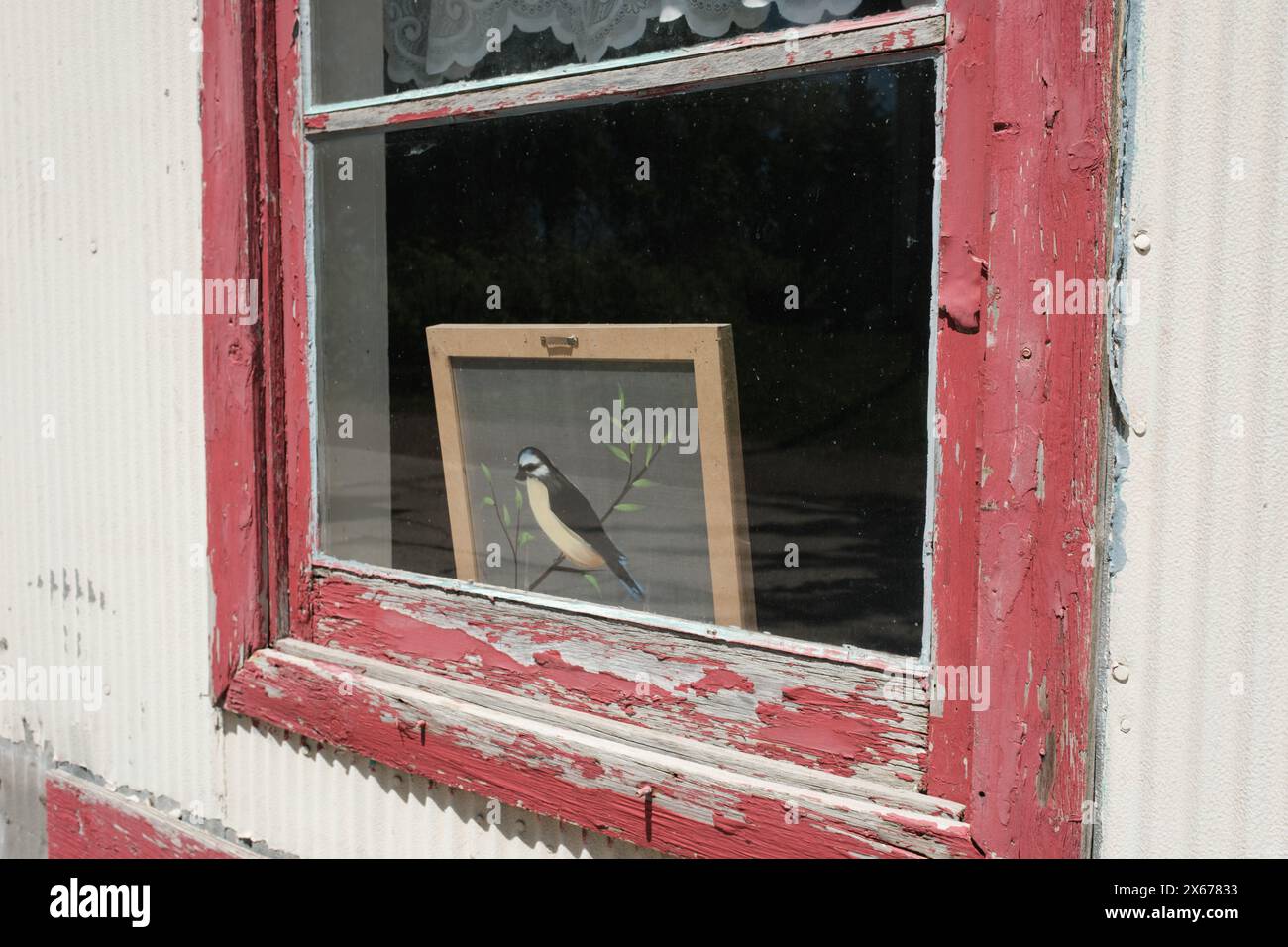 A painting of a bird, in a window in a building in Marlette Michigan ...