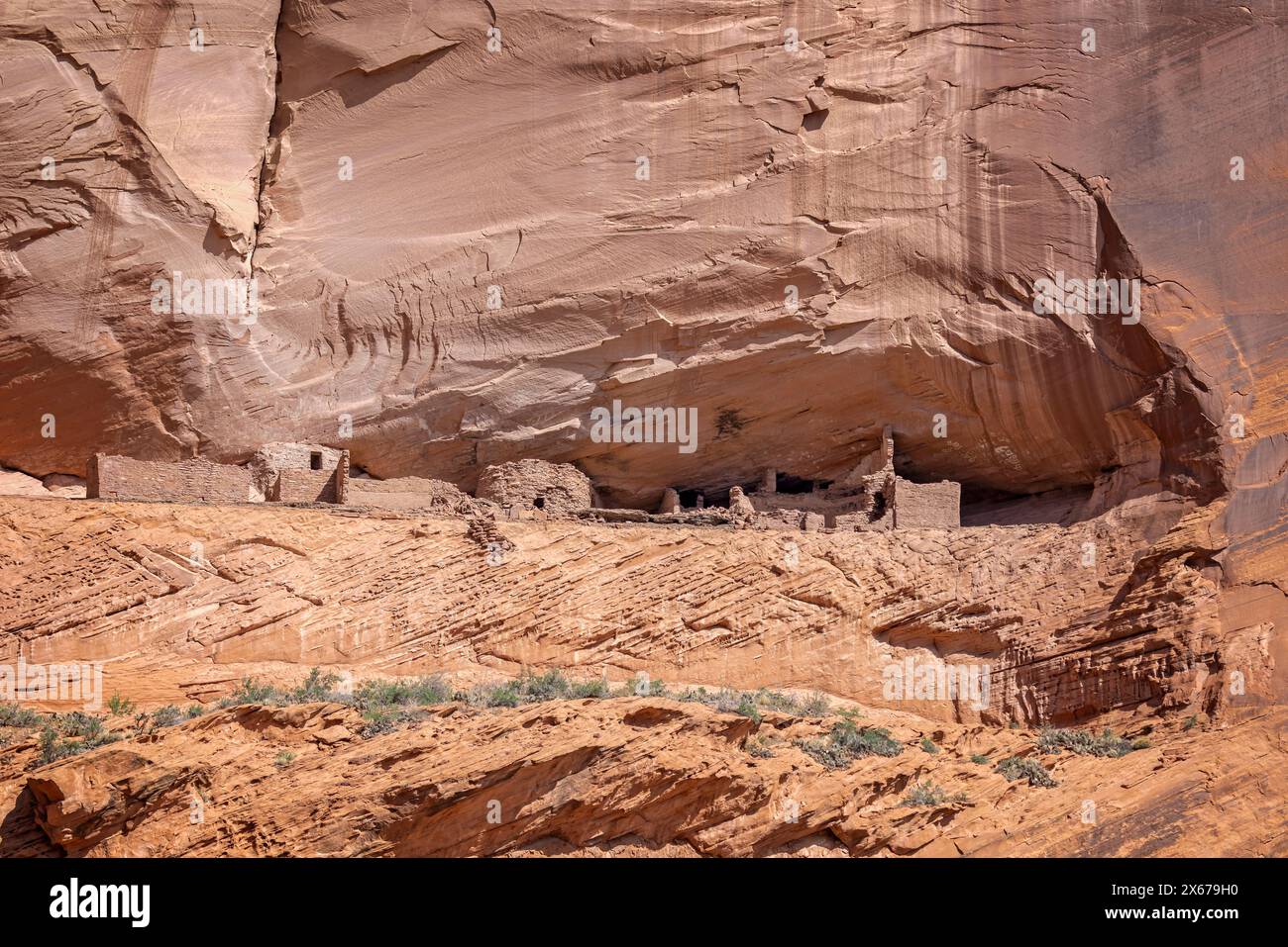 Ancient Puebloan cliff dwelling in the sandstone cliff face in Canyon ...