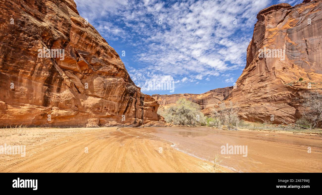 Sandstone c.liffs and meltwater river at the floor of Canyon de Chelly ...