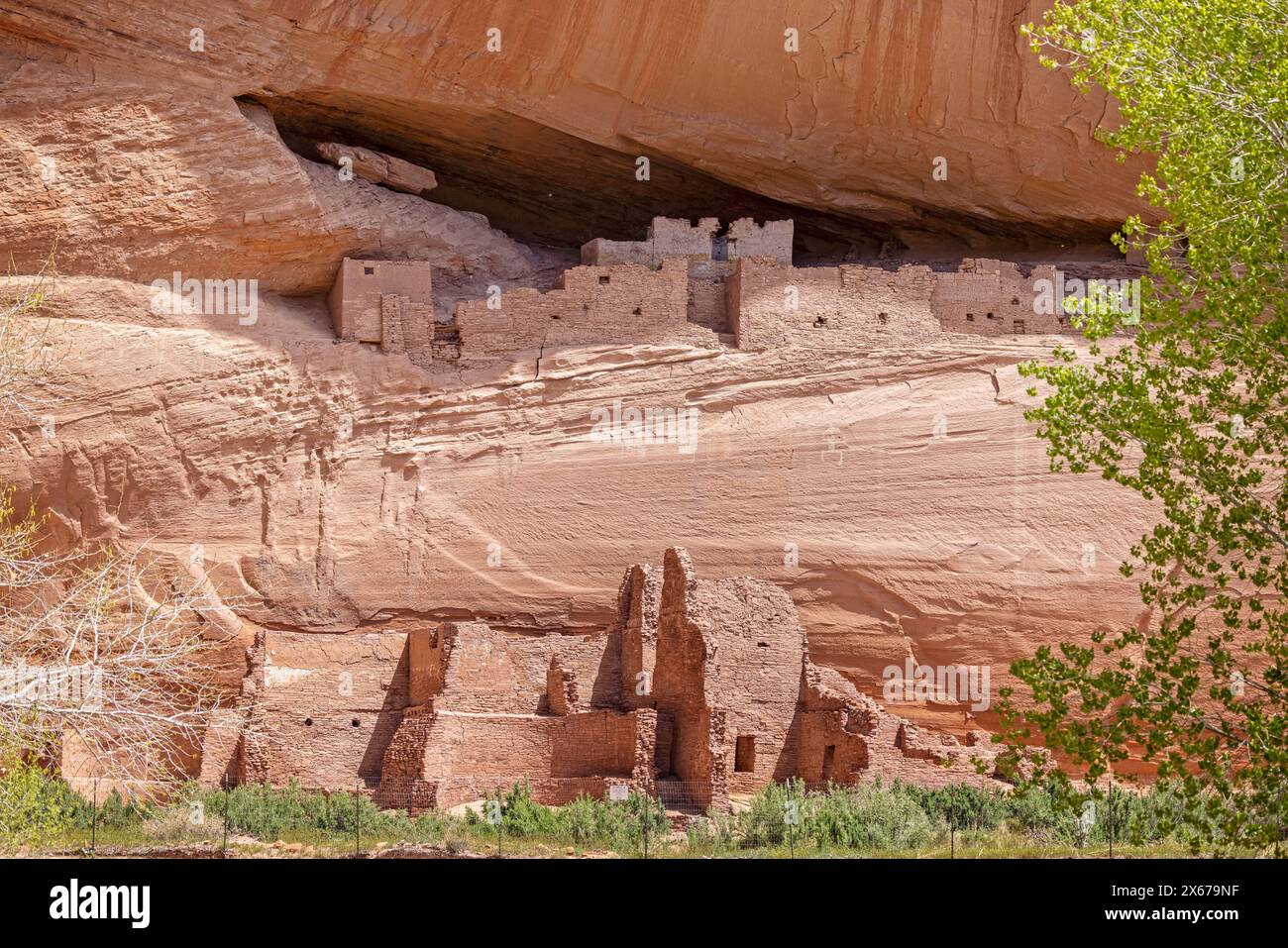 Ancient Puebloan cliff dwelling in the sandstone cliff face in Canyon ...