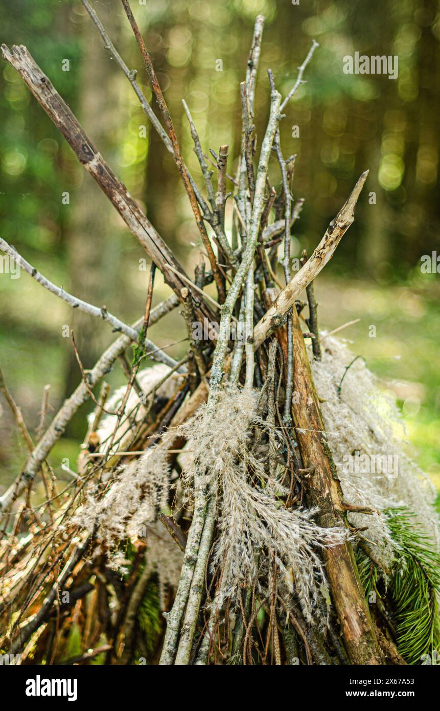 The Tree Hut. High quality photo Stock Photo - Alamy
