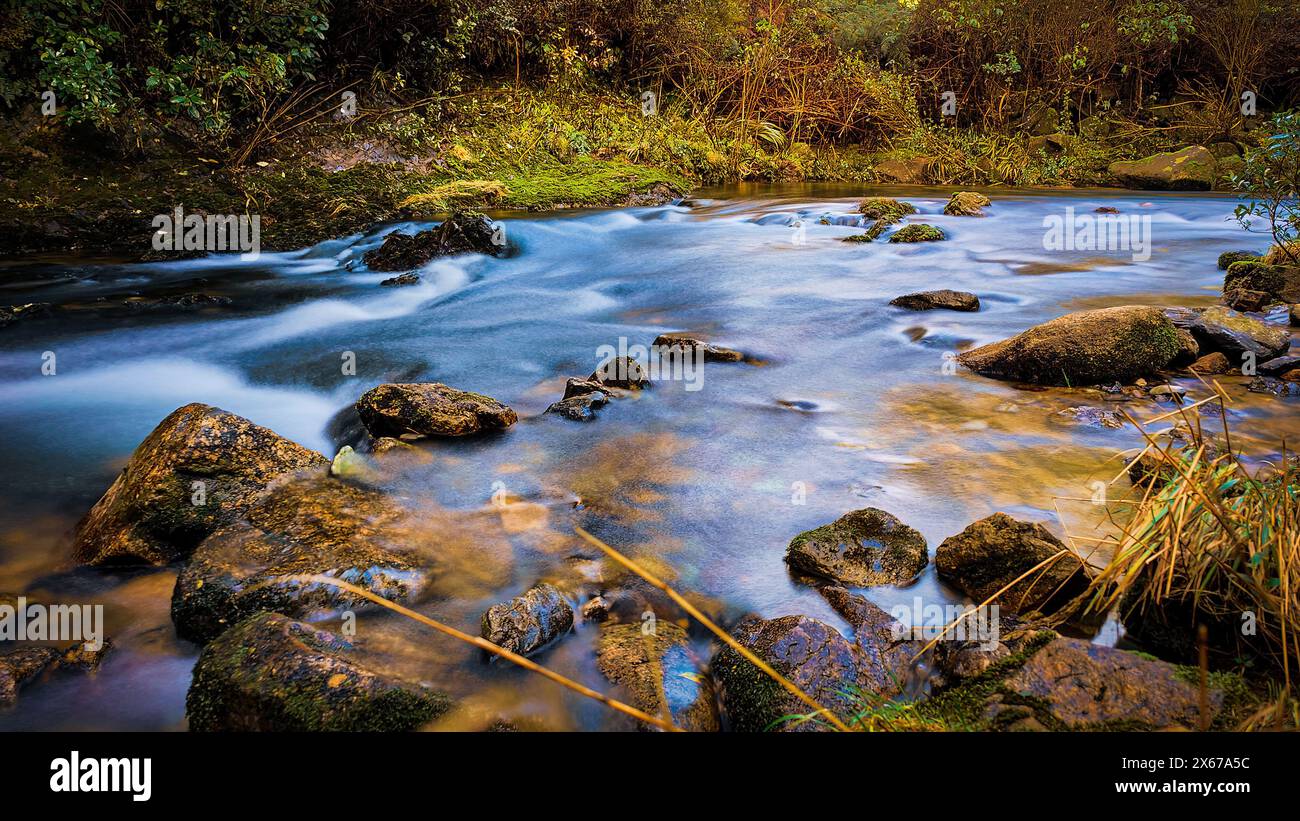 Long Exposure Shot Of Flowing Water At Riuwaka Resurgence, New Zealand ...