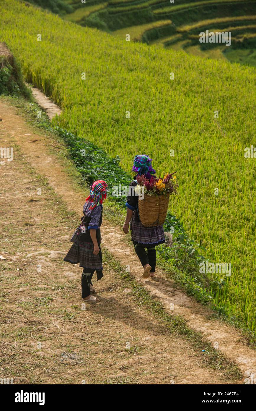Flower Hmong women in the rice terraces of Mu Cang Chai, Yen Bai ...