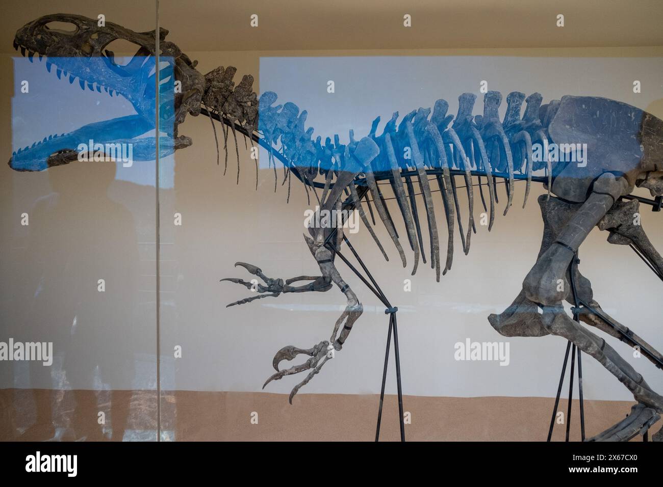 Dynosaurus hi-res stock photography and images - Alamy