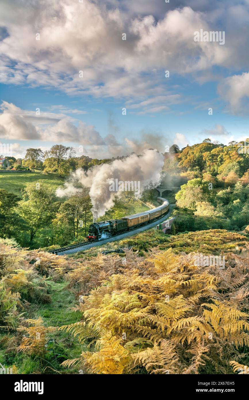 Steam locomotive at Darnholme on the North Yorkshire Moors Railway ...