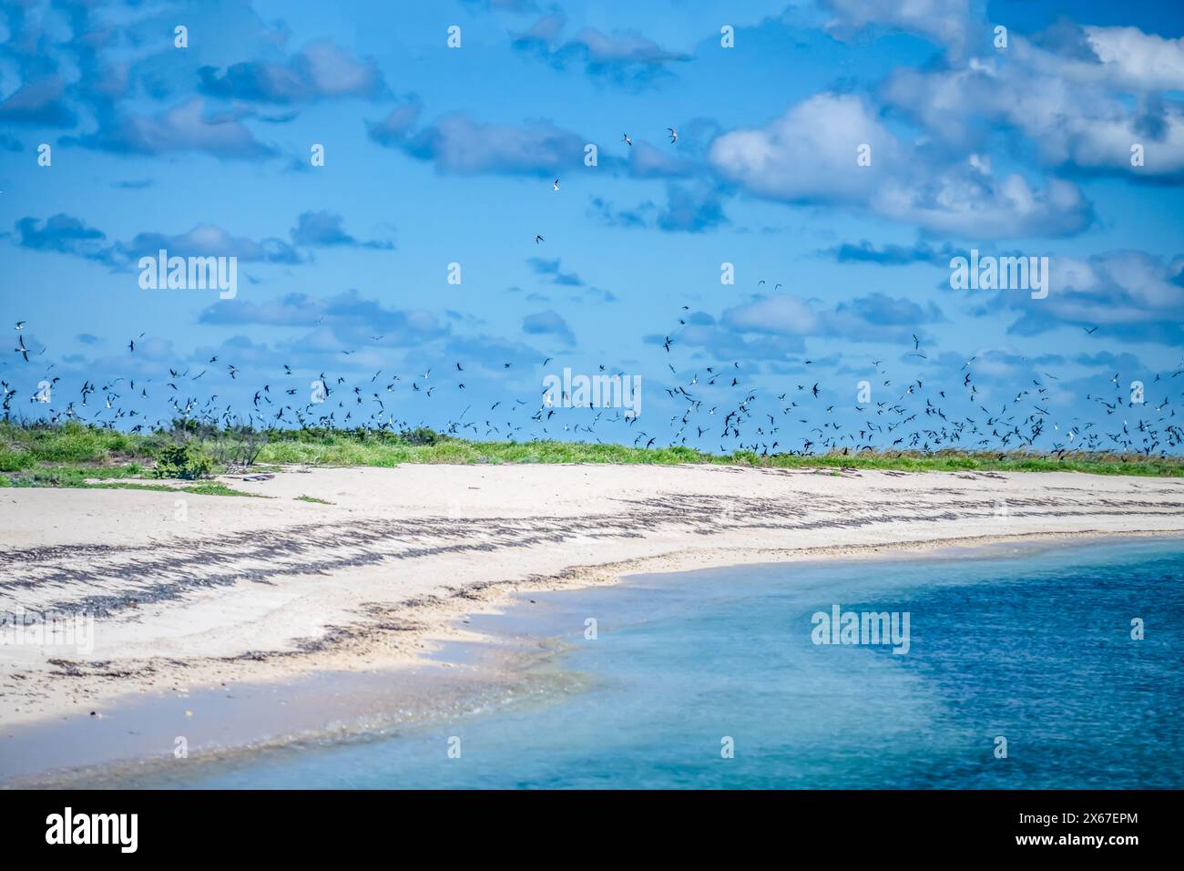 Bush Key with land bridge to Fort Jefferson on Dry Tortugas National ...