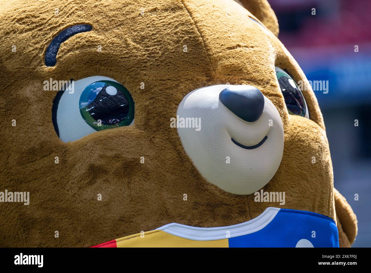 Munich, Germany. 13th May, 2024. Albärt, the mascot of the European ...