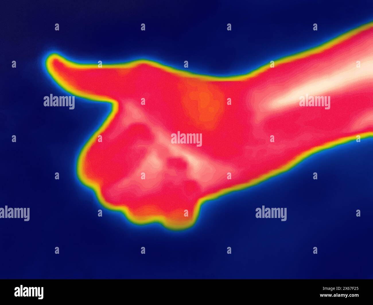 Hand gestures captured on thermal imager device. Warm hands of an ...