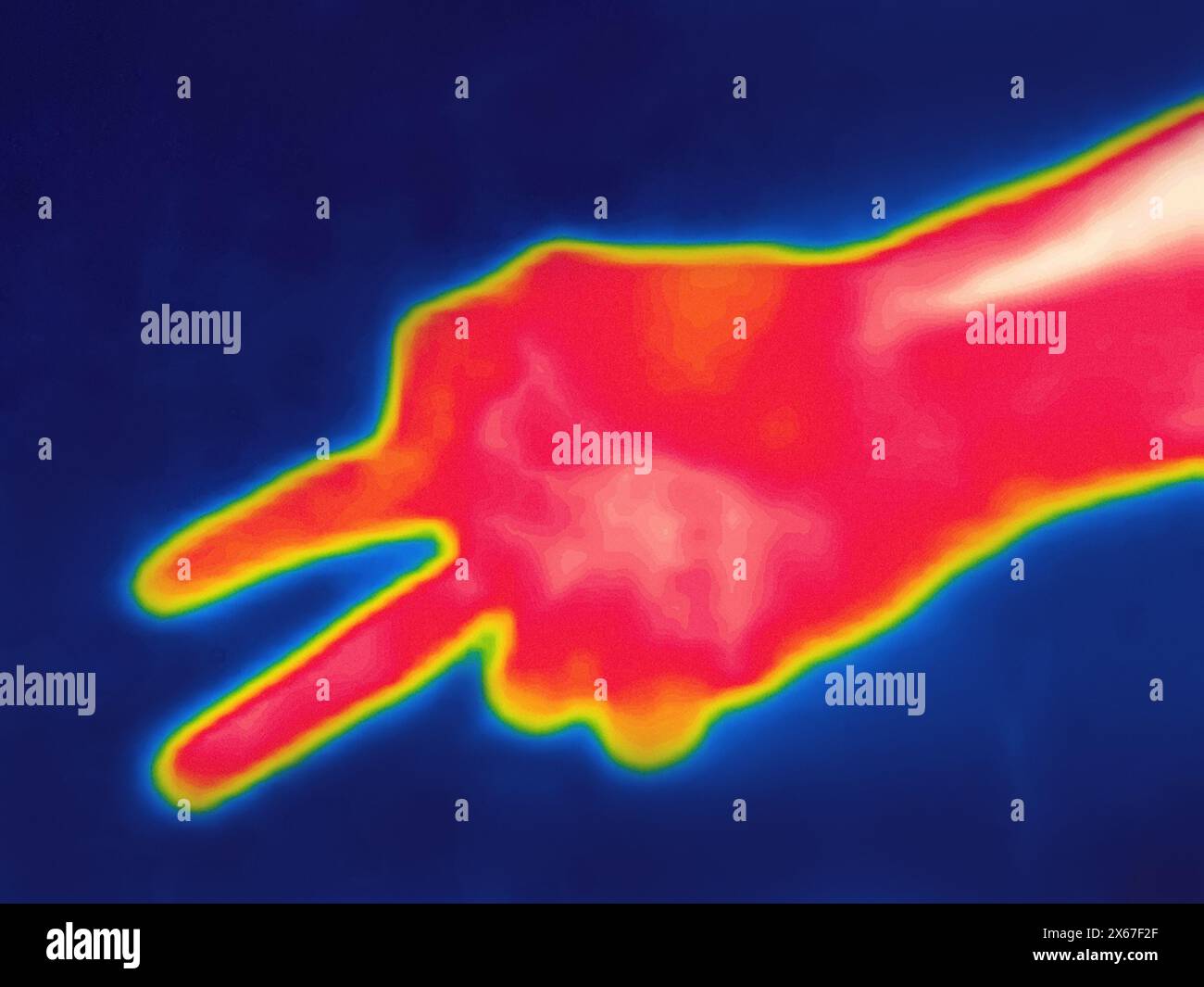 Hand gestures captured on thermal imager device. Warm hands of an ...