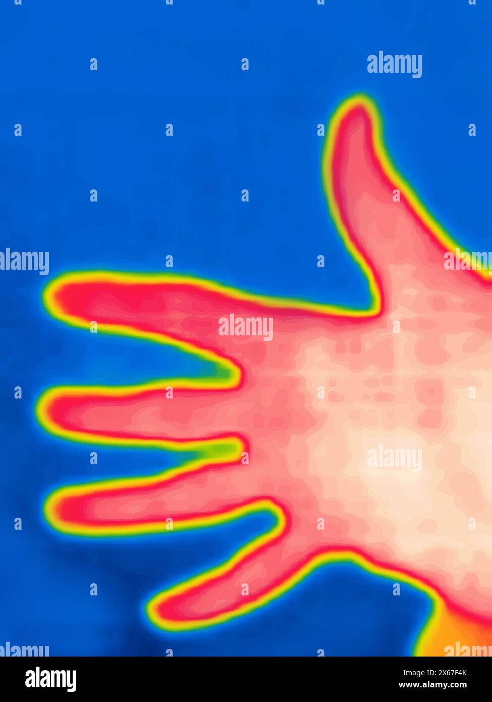 Hand gestures captured on thermal imager device. Warm hands of an ...