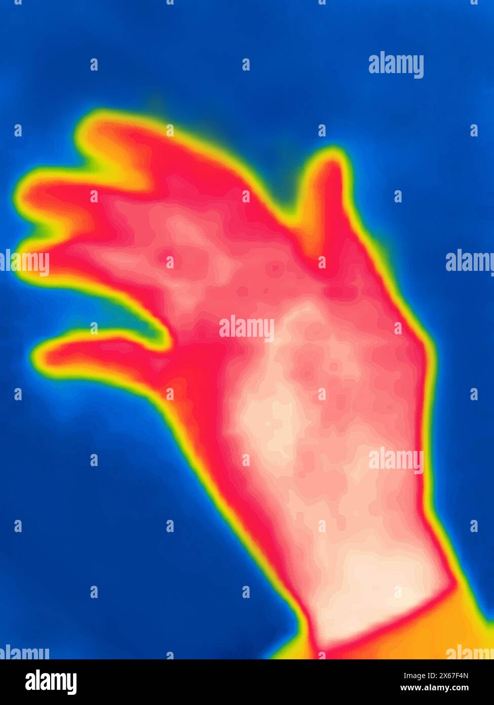Hand gestures captured on thermal imager device. Warm hands of an ...