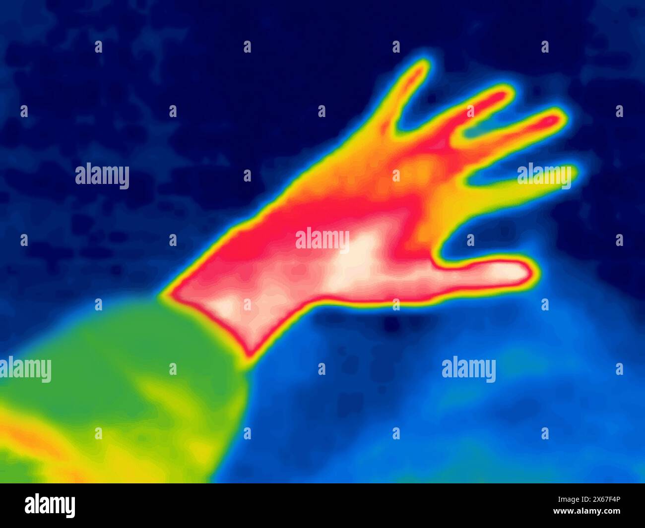 Hand gestures captured on thermal imager device. Warm hands of an ...