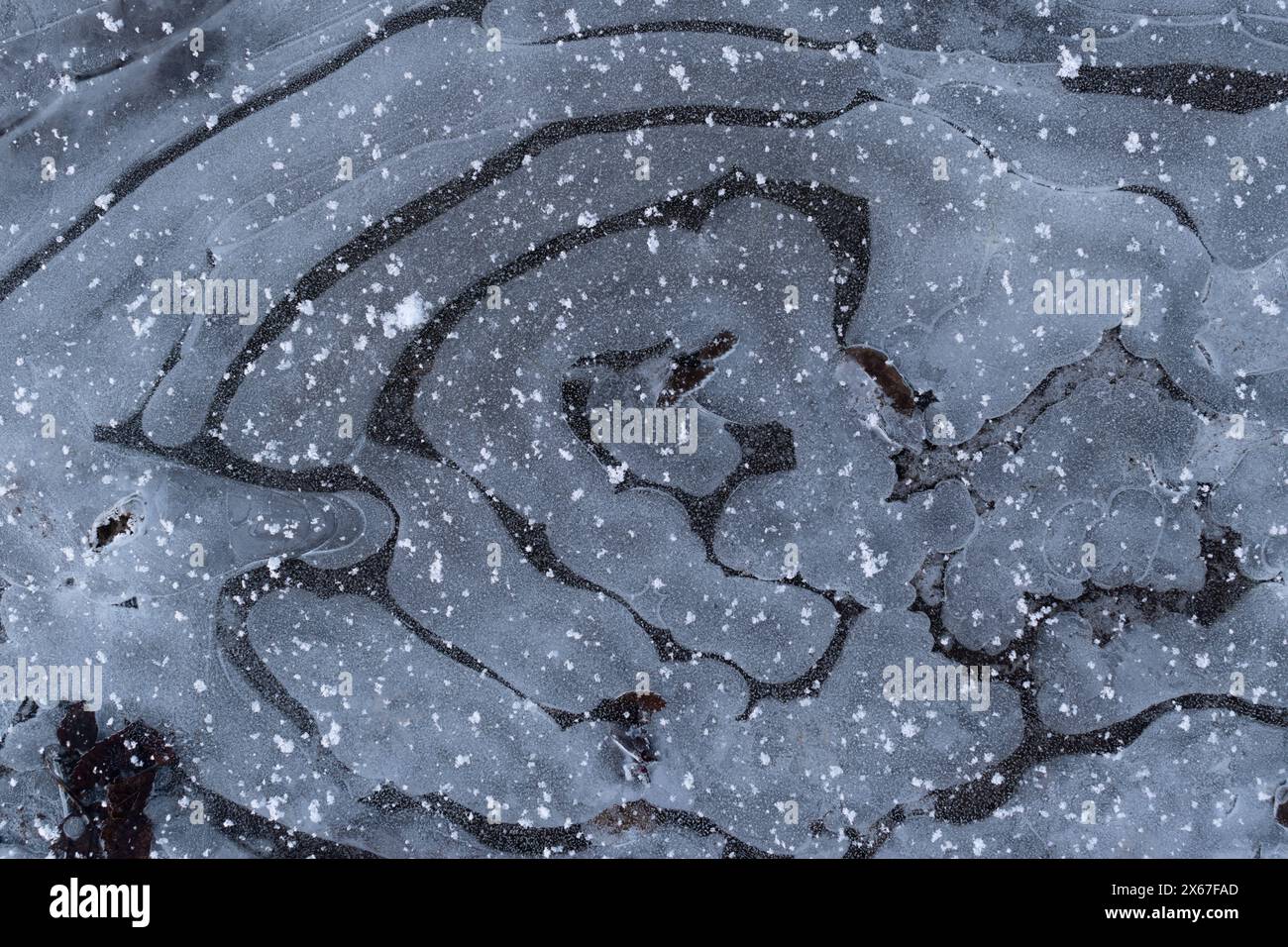 Frozen puddle with patterns in ice and small air bubbles Stock Photo ...