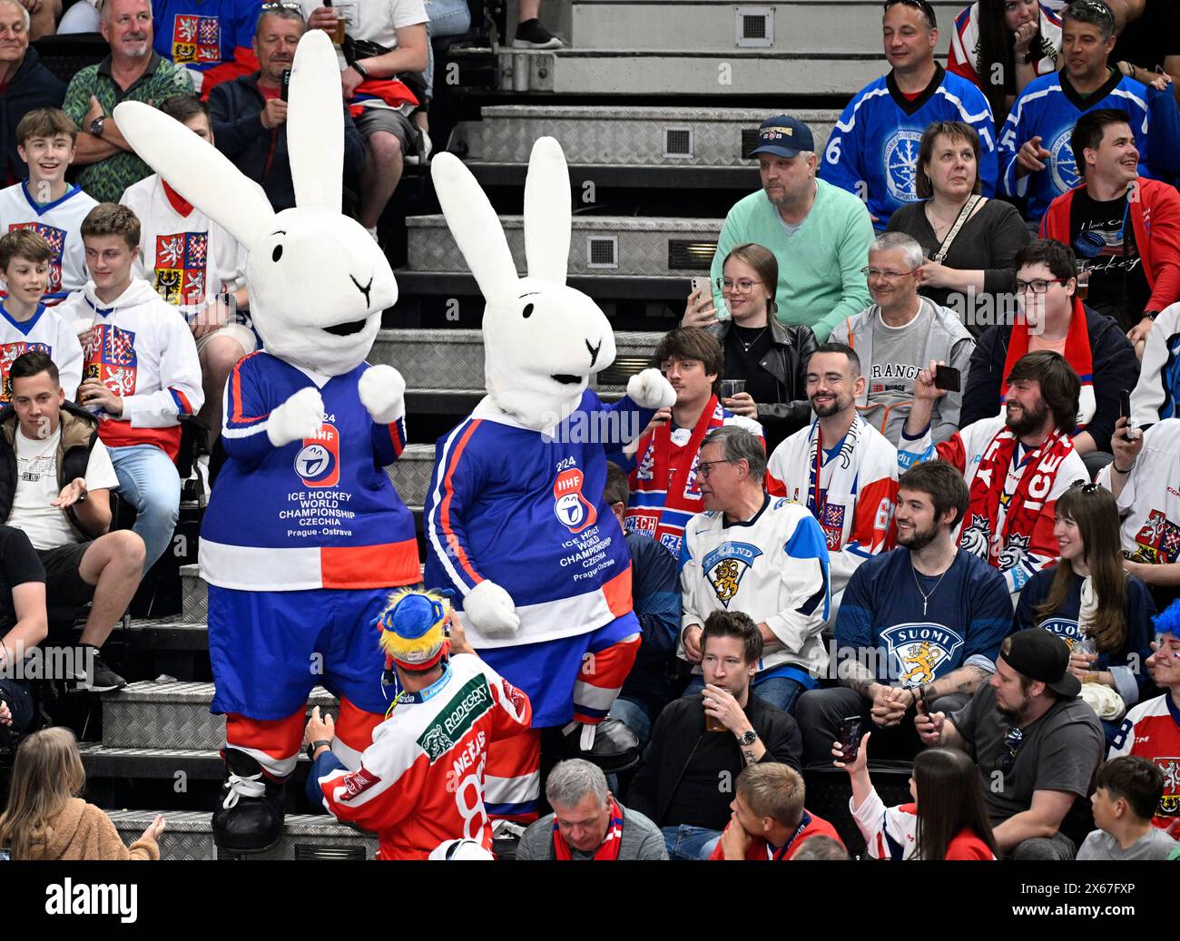 Prague, Czech Republic. 13th May, 2024. Bob and Bobek the rabbits ...