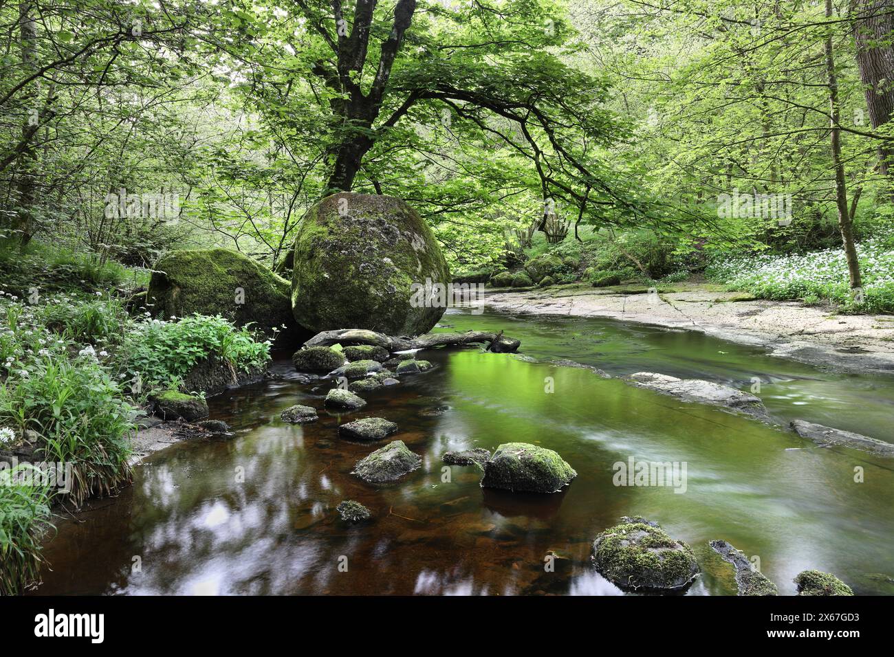 The Deepdale Great Stone, an erratic boulder of pink Shap granite left ...