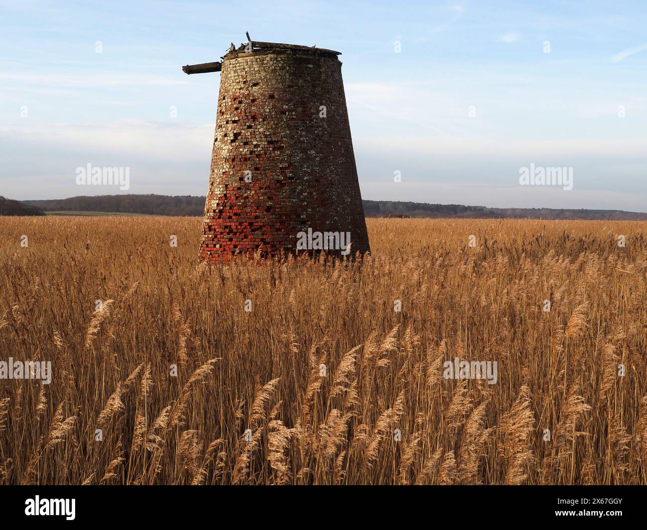 Ruined windmill, Walberswick marshes, Suffolk Stock Photo - Alamy
