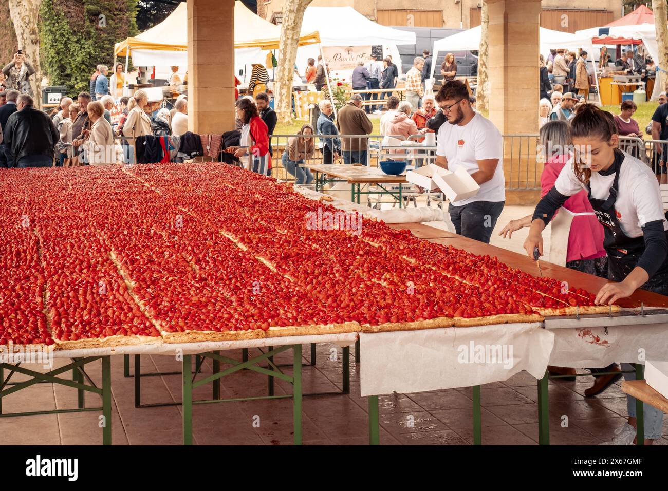 Nabirat, Nouvelle-Aquitaine, France - 12th May 2024: Volunteers cut up ...