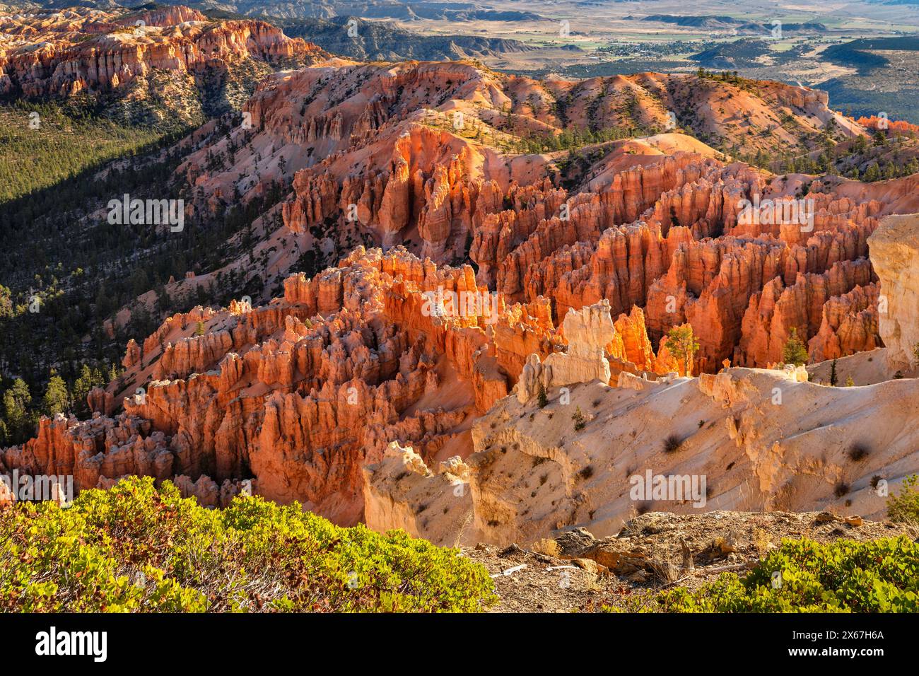 Bryce Canyon National Park, Colorado Plateau, Utah, United States, USA ...