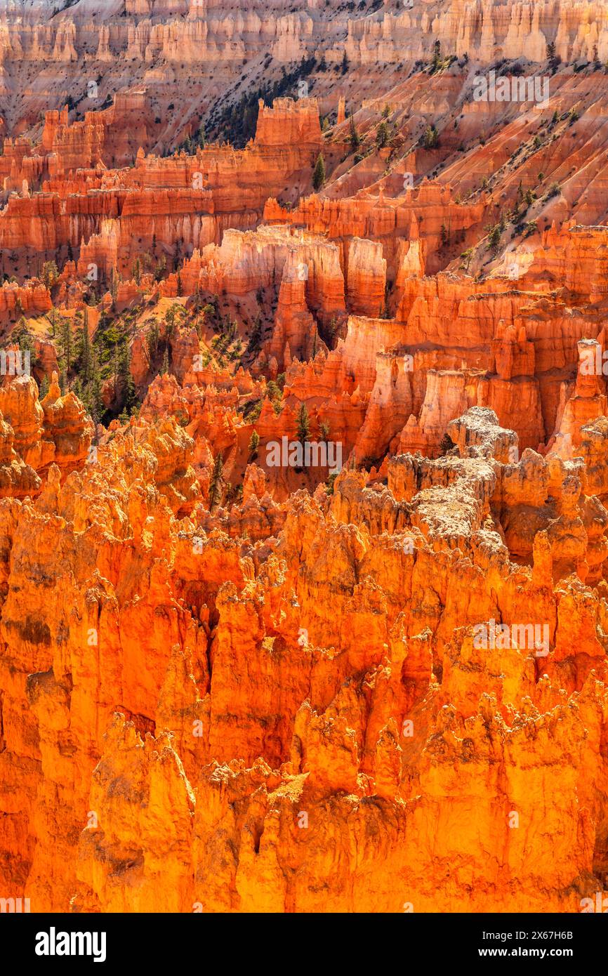 Bryce Canyon National Park, Colorado Plateau, United States, Utah, USA ...