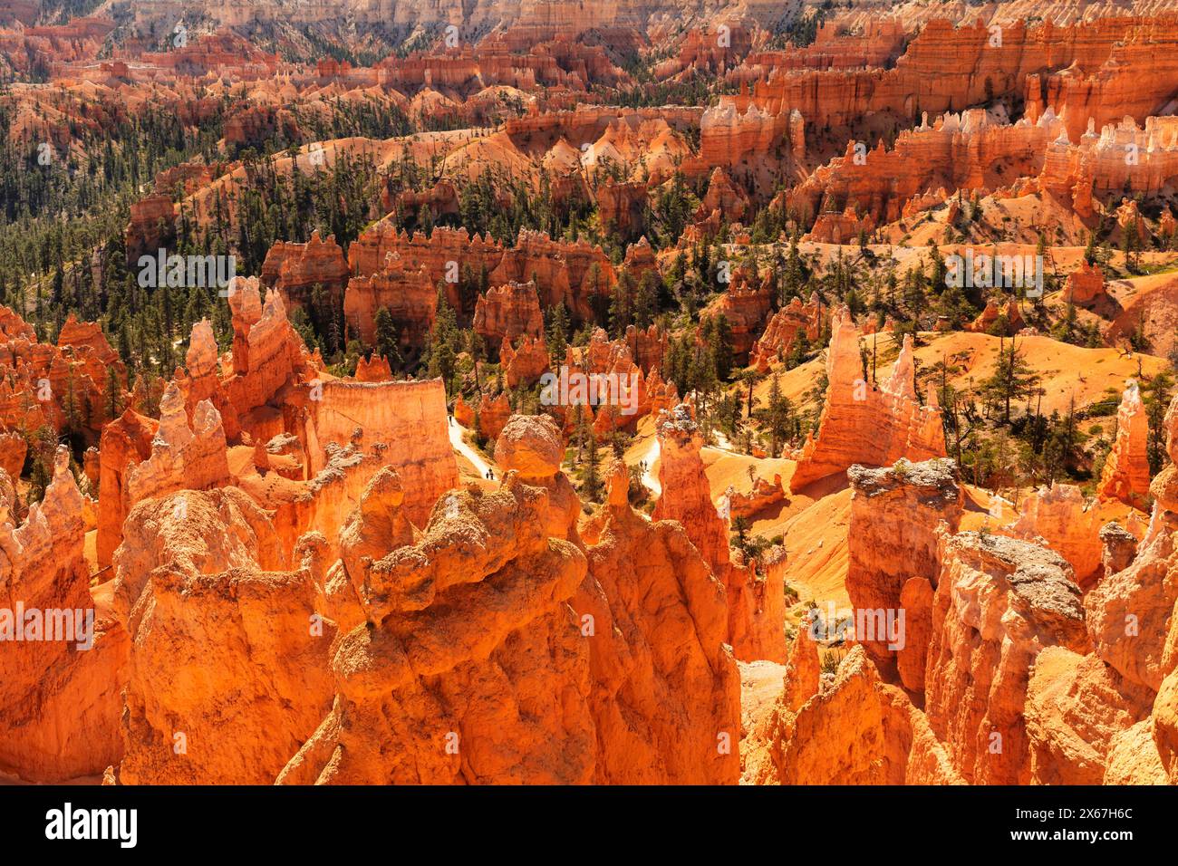 Bryce Canyon, Bryce Canyon National Park, Colorado Plateau, Utah ...