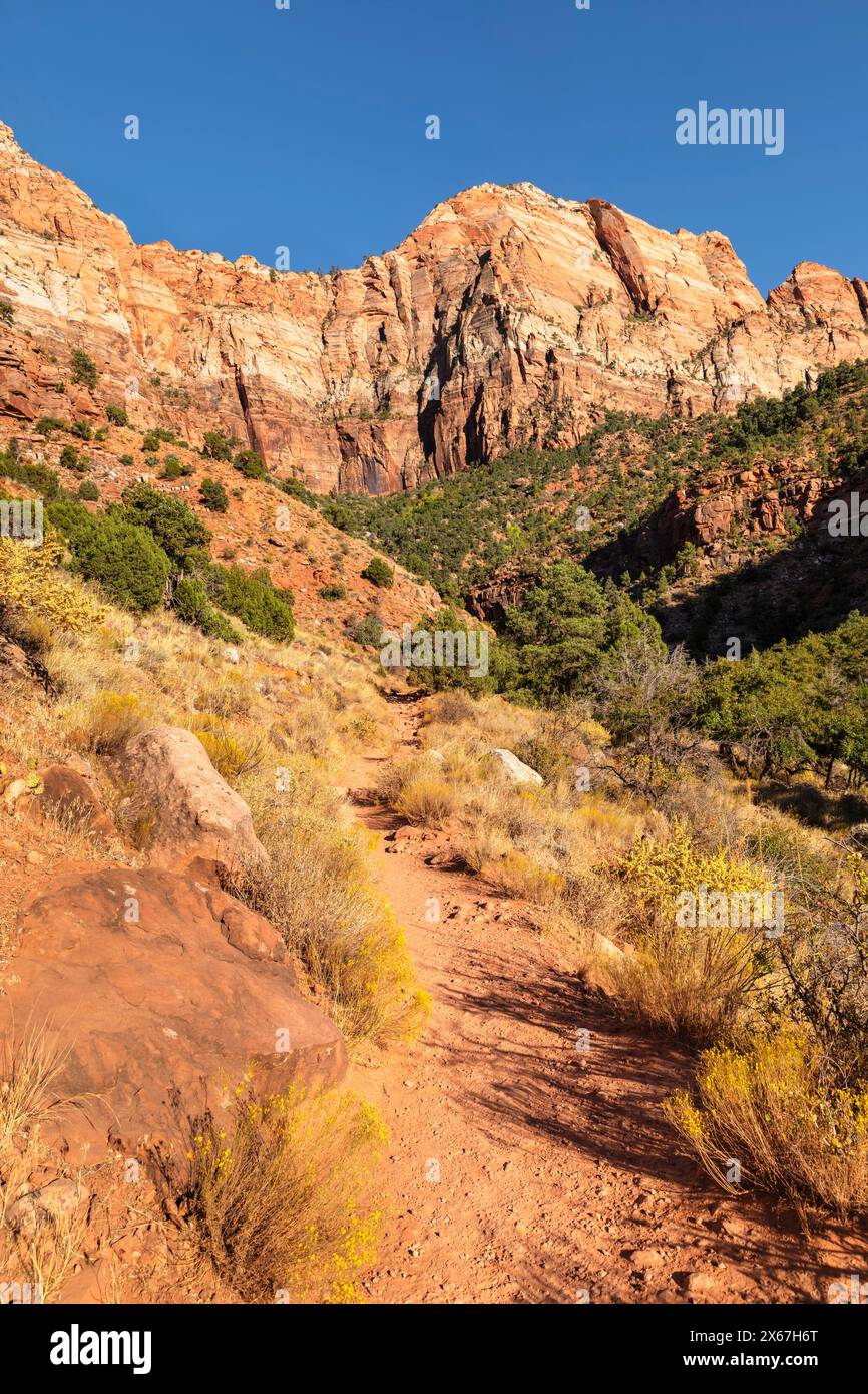 Watchman Trail hike to Watchman Mountain, Zion National Park, Colorado ...