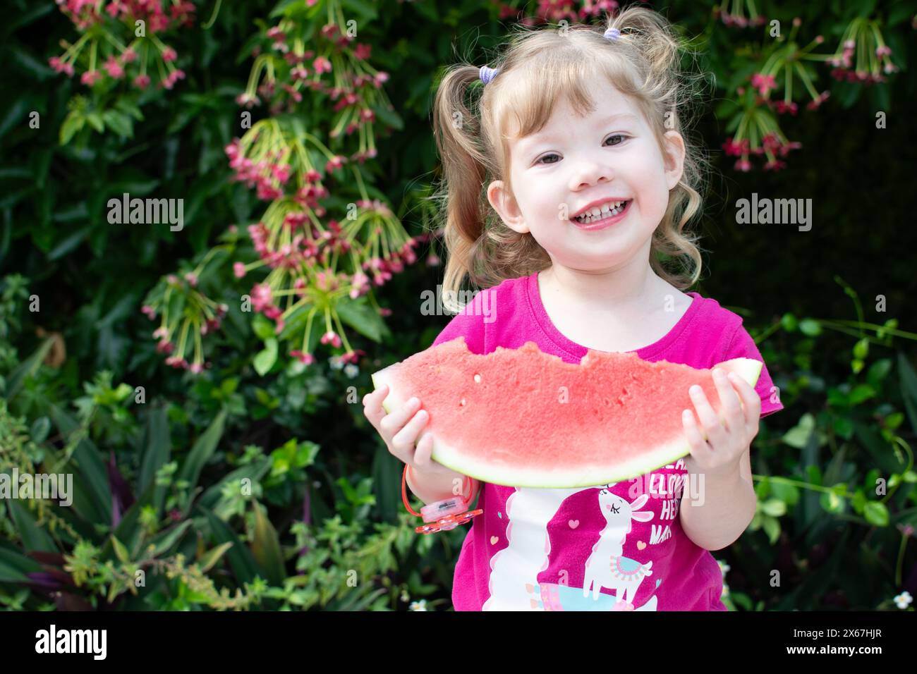 Cute happy Caucasian toddler girl eating a watermelon slice. Summer ...