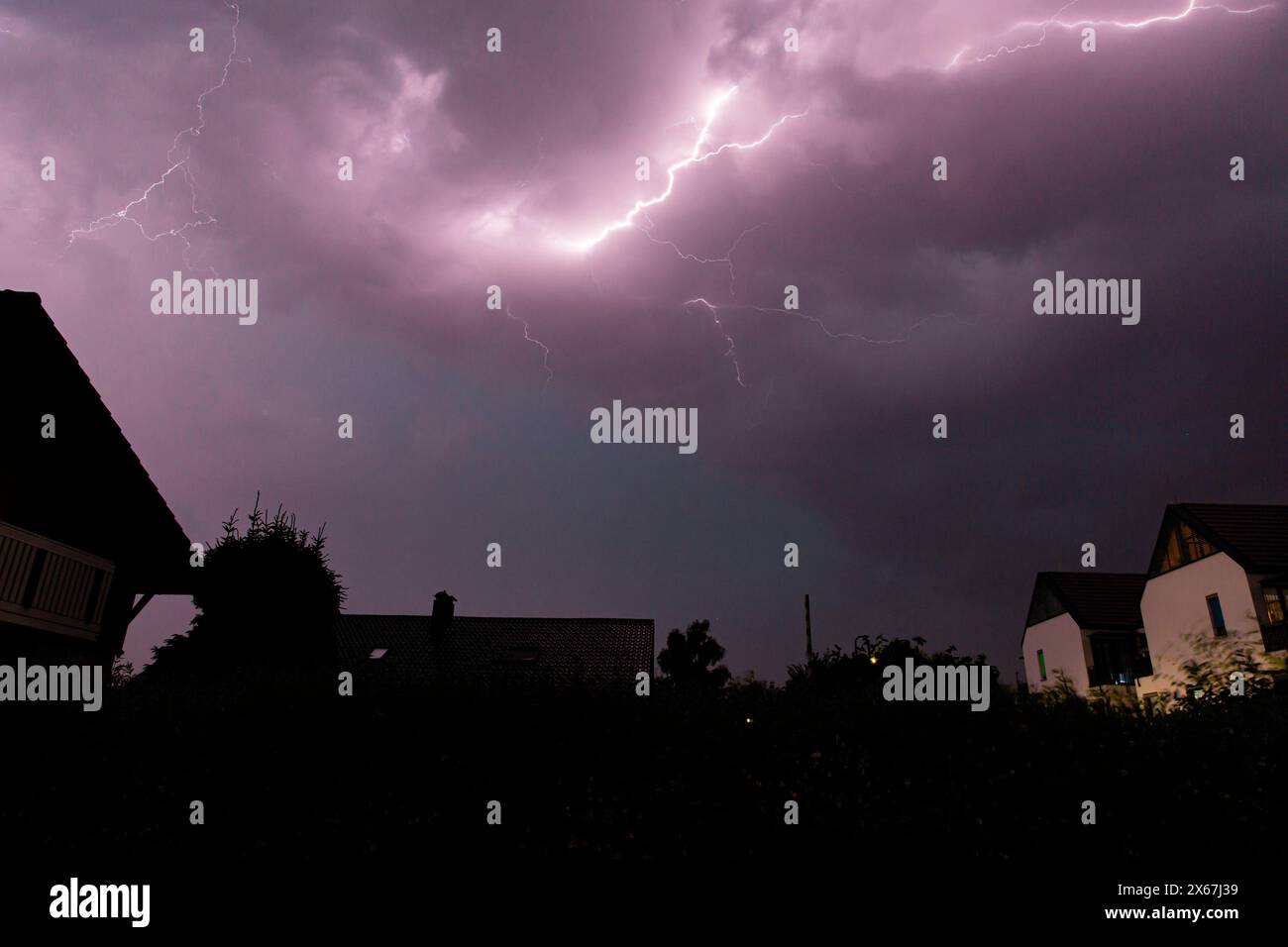 branching lightning in front of purple storm clouds Stock Photo - Alamy