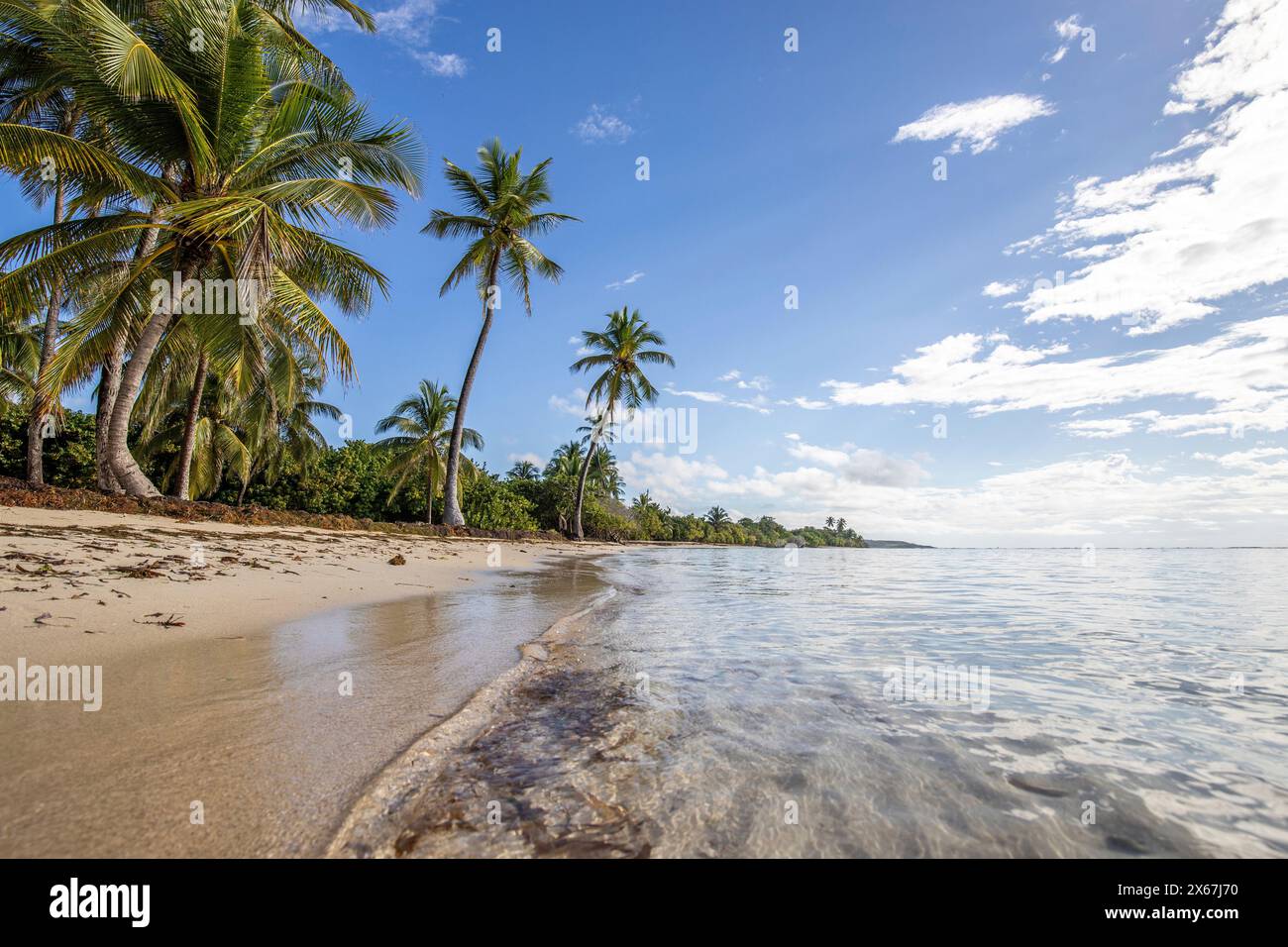Plage de Bois Jolan, a dreamlike palm beach with turquoise water at ...