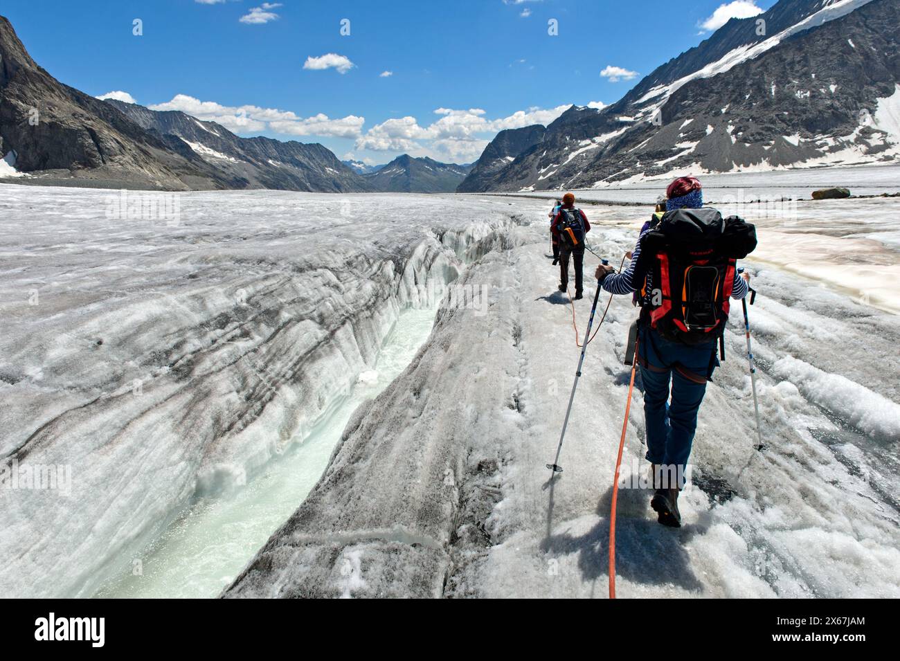 Alpinists walk along a crevasse in the ice field on the Konkordiaplatz ...