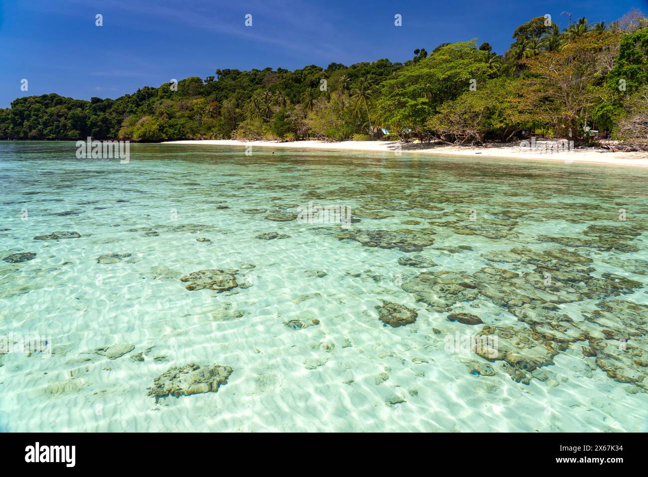 Coral reef on the dream beach of Ao-niang on the island of Koh Kradan ...
