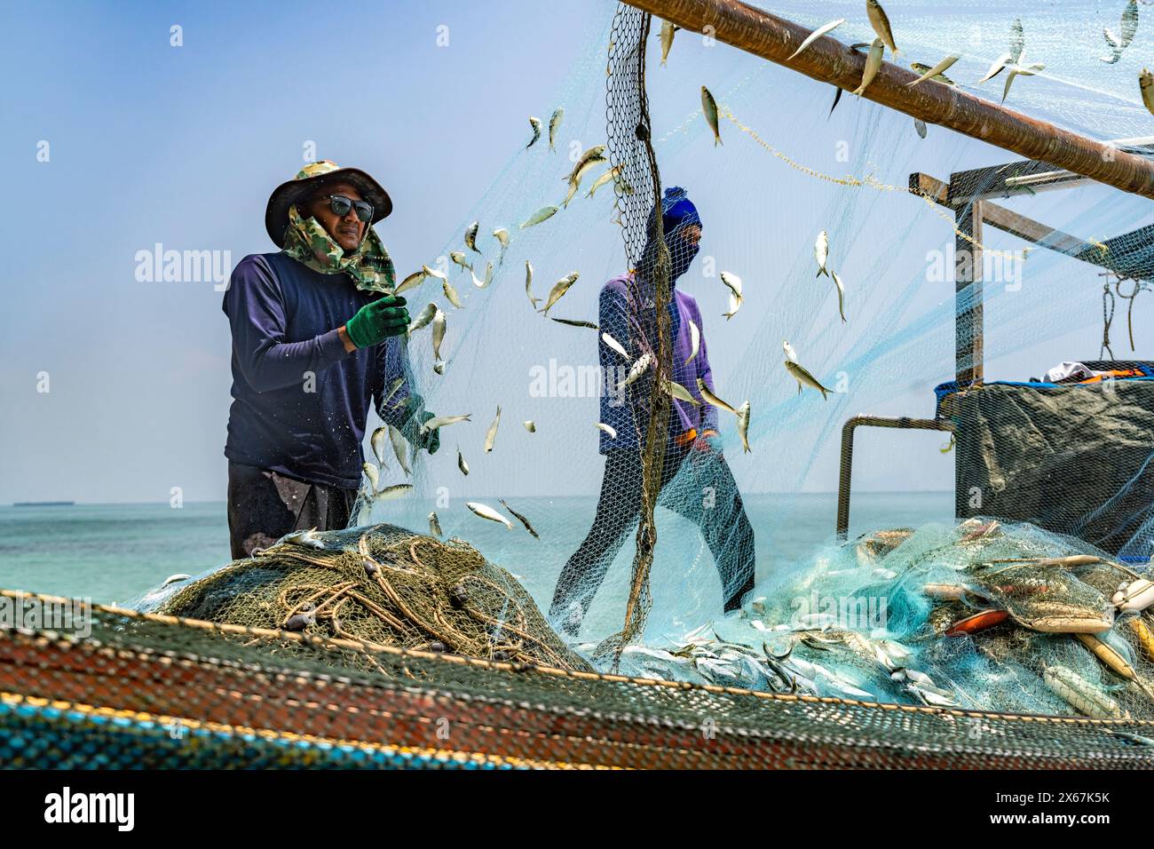 Fishermen emptying their net, Koh Libong Island in the Andaman Sea ...