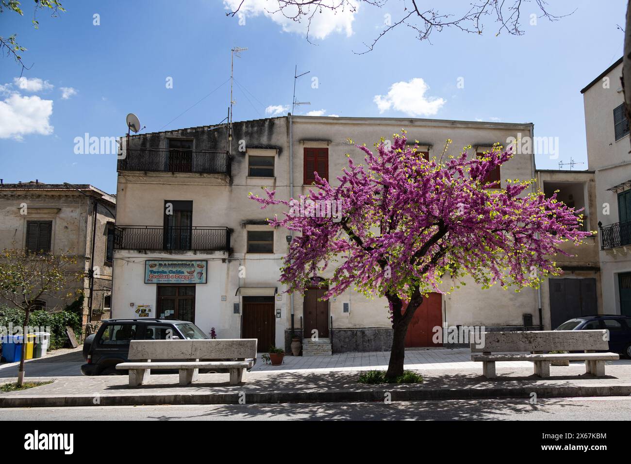 Palazzo Adriano in Sicily, Italy, April 2024 Stock Photo - Alamy