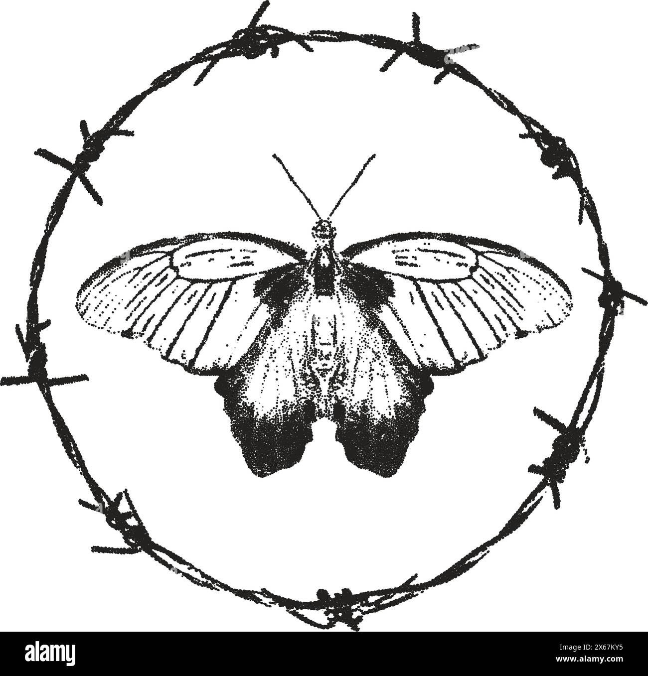Butterfly and barbed wire frame vector illustration Stock Vector Image ...